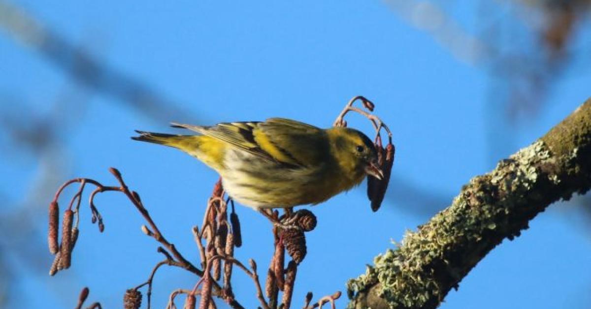 Faune France | Fondation VINCI Autoroutes
